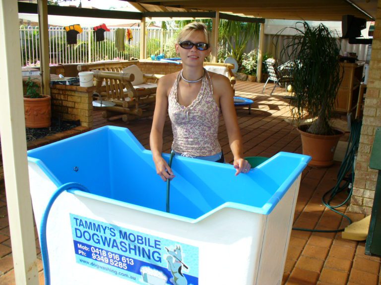 High quality mobile dog wash